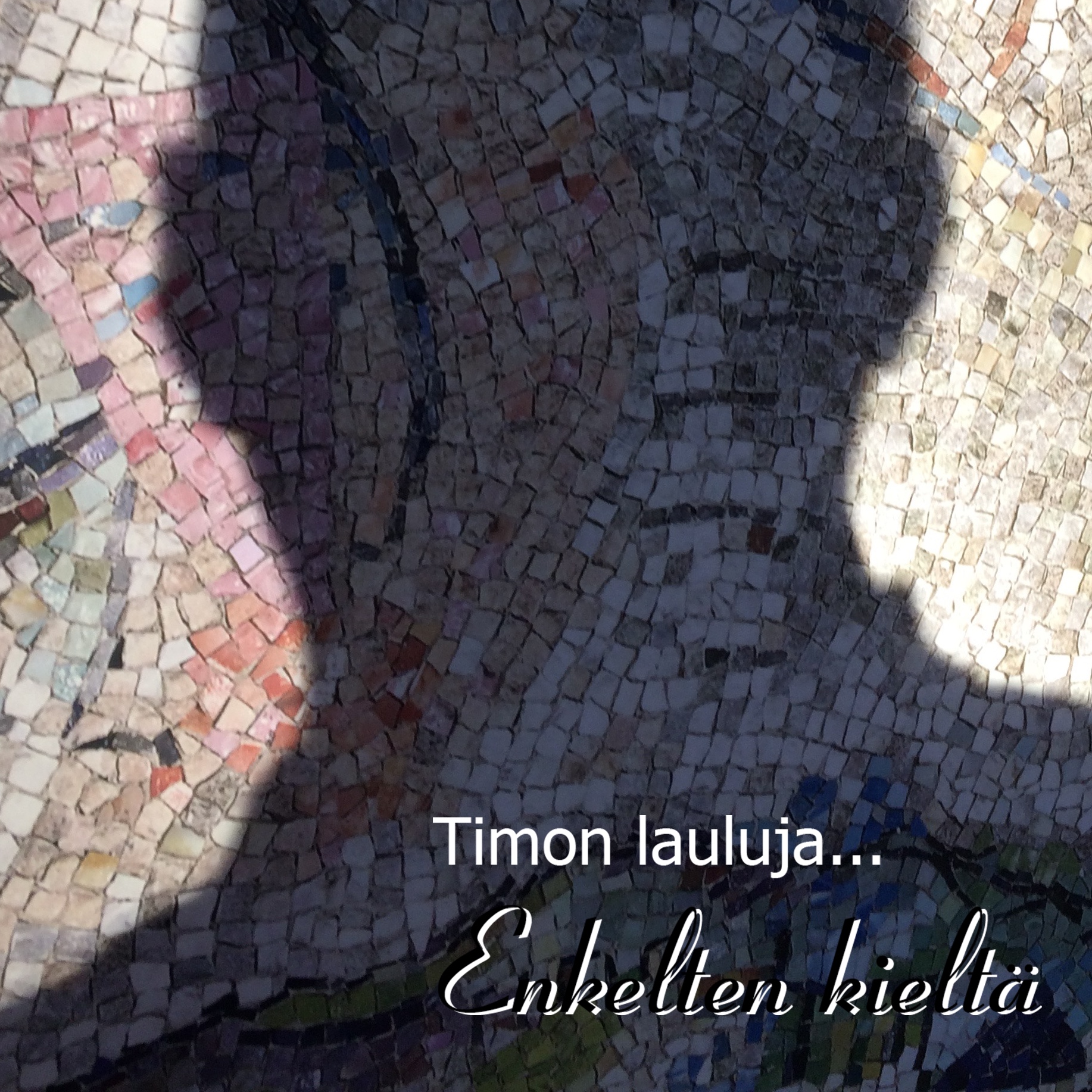 Timon lauluja… Enkelten kieltä